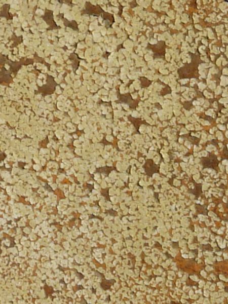 chipping white metal texture 0051 - Texturelib