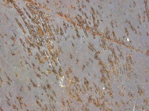 rusty scratch textures - Texturelib