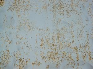 rusty scratch textures - Texturelib