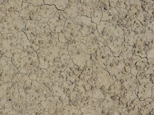 cracked desert textures - Texturelib