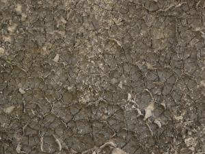cracked desert textures - Texturelib