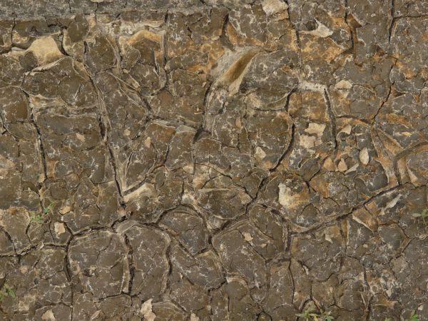 cracked and crumbling soil texture 0004 - Texturelib