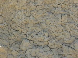 cracked desert textures - Texturelib