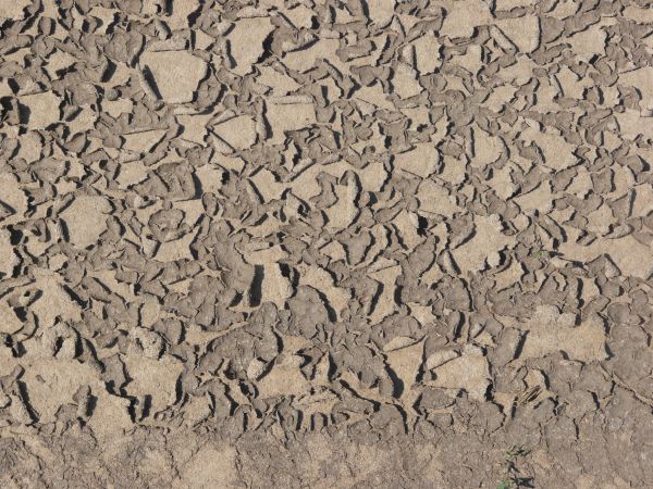 sandy cracked soil texture 0010 - Texturelib