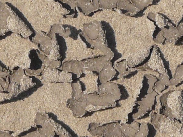 sandy cracked soil texture 0010 - Texturelib