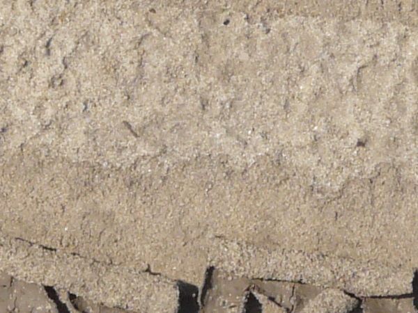 sandy cracked soil texture 0010 - Texturelib