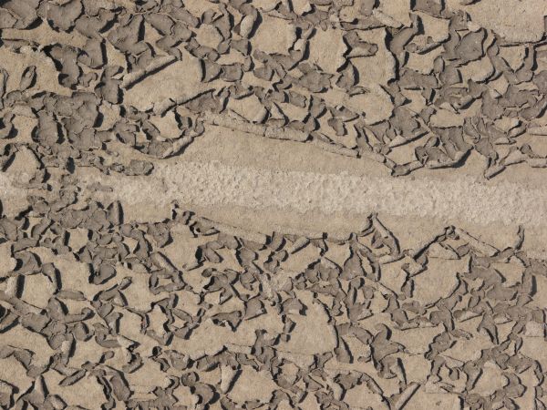 sandy cracked soil texture 0010 - Texturelib