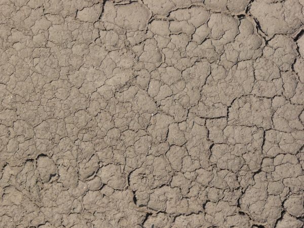 flaking cracked soil texture 0011 - Texturelib