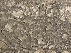 cracked desert textures - Texturelib