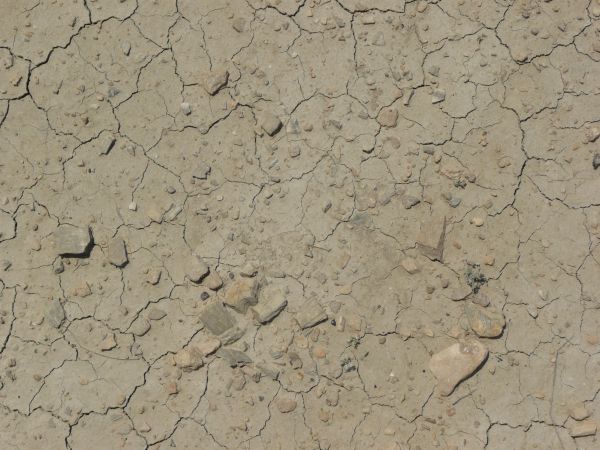 rocky soil texture 0013 - Texturelib