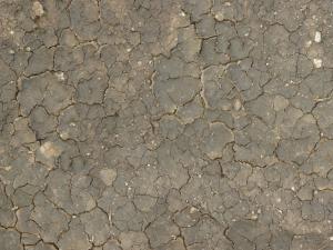 cracked desert textures - Texturelib