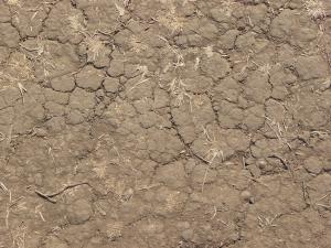 cracked desert textures - Texturelib