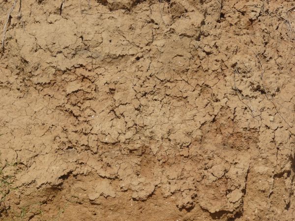 clumped soil texture 0016 - Texturelib