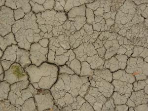 cracked desert textures - Texturelib