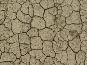 cracked desert textures - Texturelib