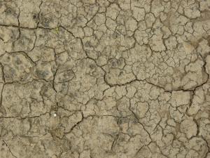 cracked desert textures - Texturelib