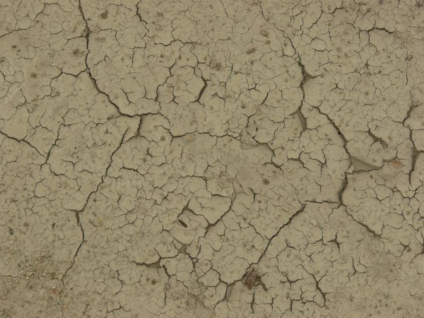 yellow cracked soil texture 0024 - Texturelib