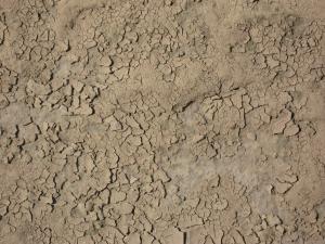 cracked desert textures - Texturelib
