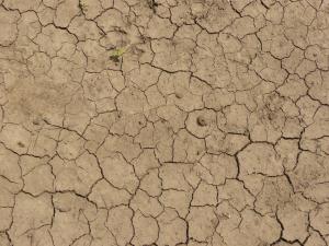 cracked desert textures - Texturelib