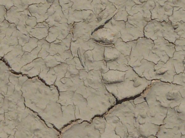 flaking soil texture 0030 - Texturelib