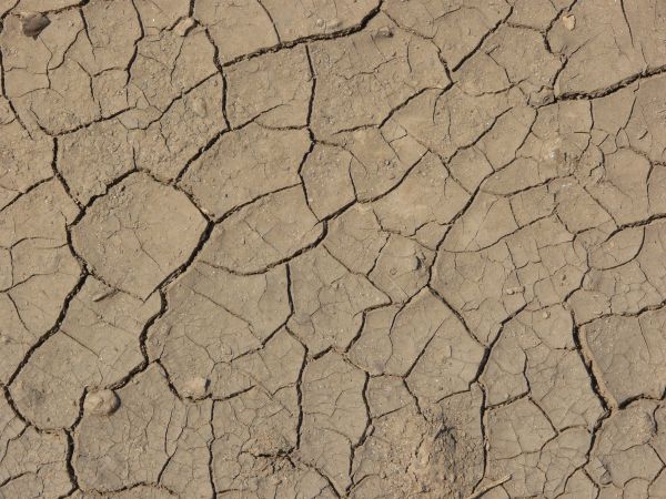 brown cracked soil texture 0031 - Texturelib