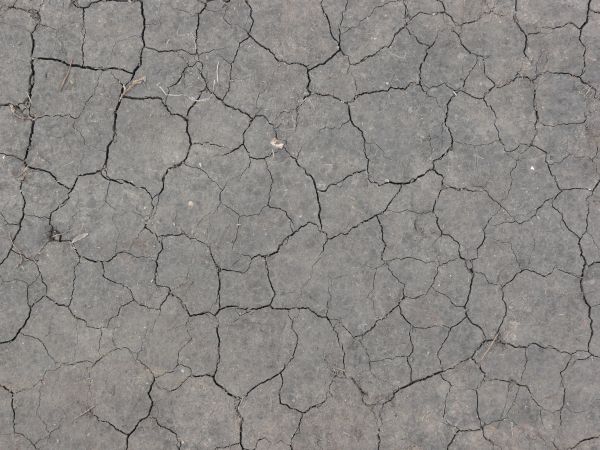 soil with large cracks 0033 - Texturelib