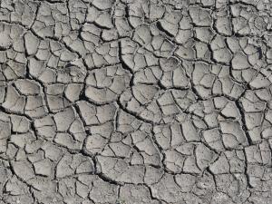 cracked desert textures - Texturelib
