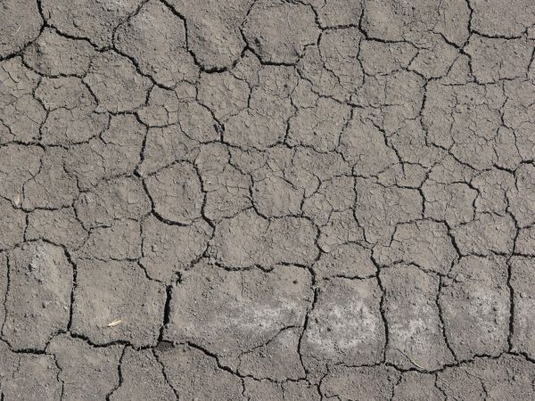 rough cracked soil texture 0039 - Texturelib