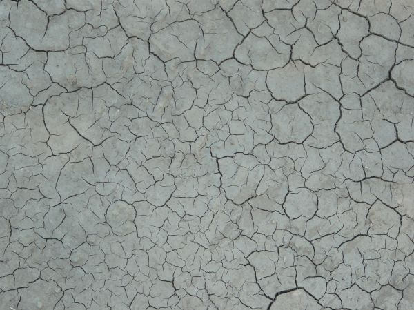 dried cracked soil texture 0040 - Texturelib