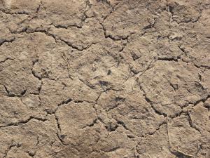 cracked desert textures - Texturelib