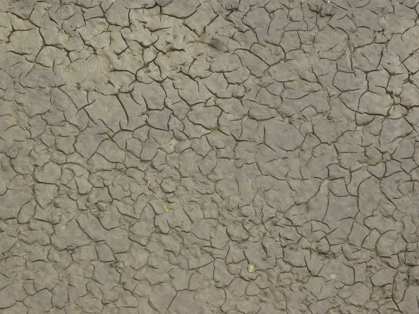 cracked desert texture 0042 - Texturelib