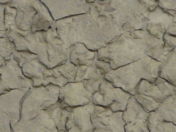 cracked desert texture 0042 - Texturelib