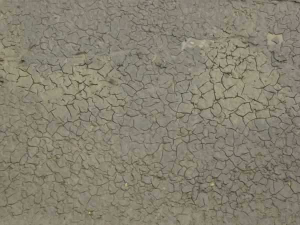 cracked desert texture 0042 - Texturelib