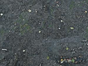 bare ground textures - Texturelib