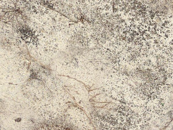 white ground texture 0005 - Texturelib