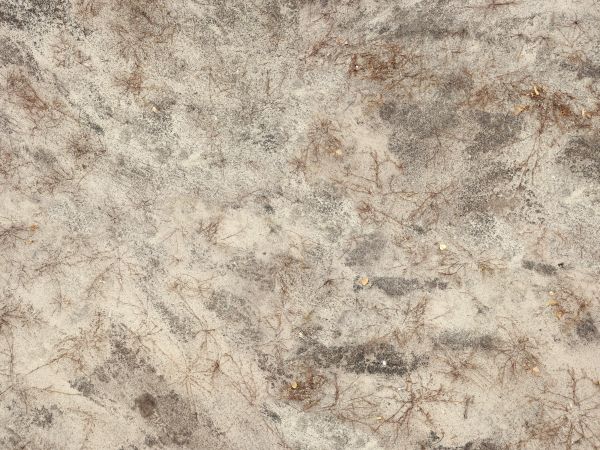 white ground texture 0005 - Texturelib