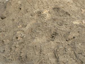 bare ground textures - Texturelib