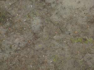 bare ground textures - Texturelib