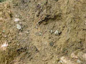 bare ground textures - Texturelib