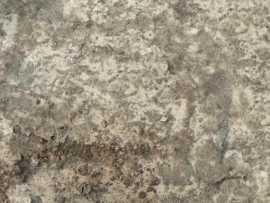 bare ground textures - Texturelib