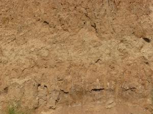 bare ground textures - Texturelib