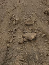 bare ground textures - Texturelib