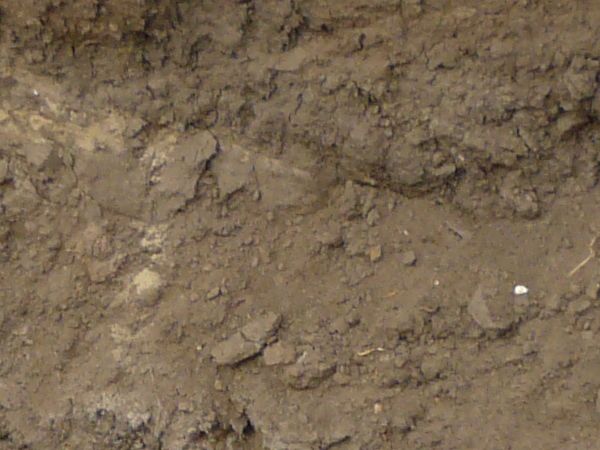 dark brown ground texture 0052 - Texturelib