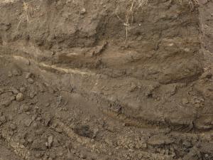 bare ground textures - Texturelib