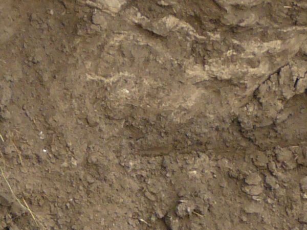 dark brown ground texture 0052 - Texturelib