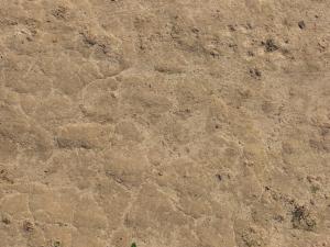 bare ground textures - Texturelib