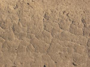 bare ground textures - Texturelib