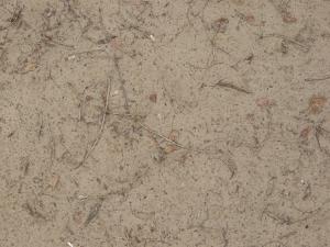 bare ground textures - Texturelib
