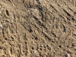 bare ground textures - Texturelib