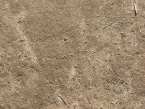 bare ground textures - Texturelib
